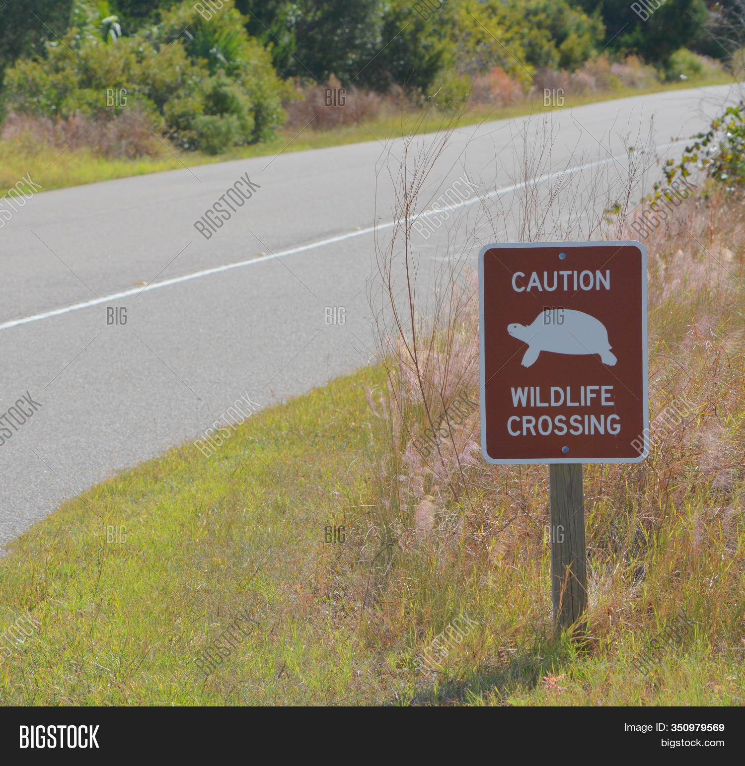 Turtle Warning Sign Image & Photo (Free Trial) | Bigstock