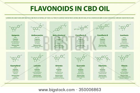 Flavonoid Cbd Oil Vector & Photo (Free Trial) | Bigstock