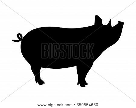 Pig Tail Images, Illustrations & Vectors (Free) - Bigstock