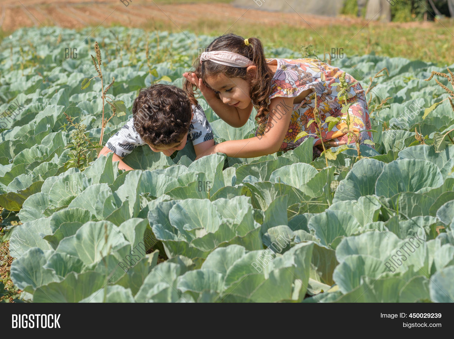 People Grow Their Own Image & Photo (Free Trial) | Bigstock