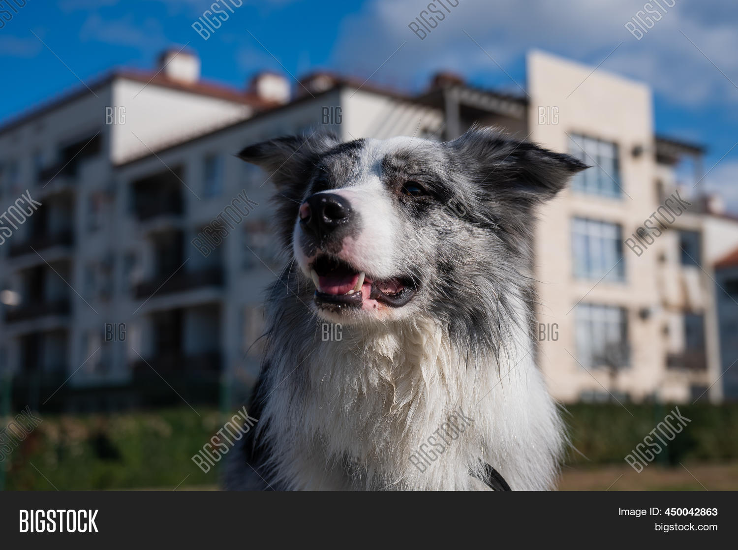 Image et photo de Portrait (essai gratuit) | Bigstock