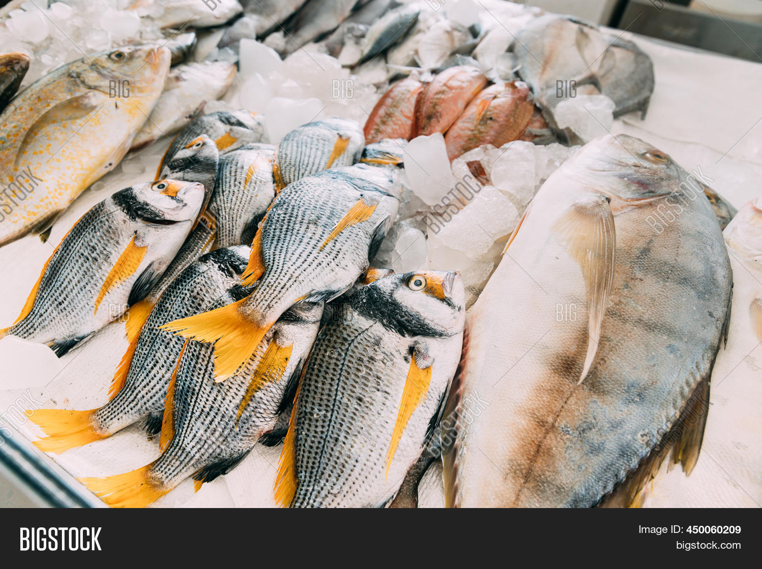 Imagen y foto Fresh Fish On (prueba gratis) | Bigstock