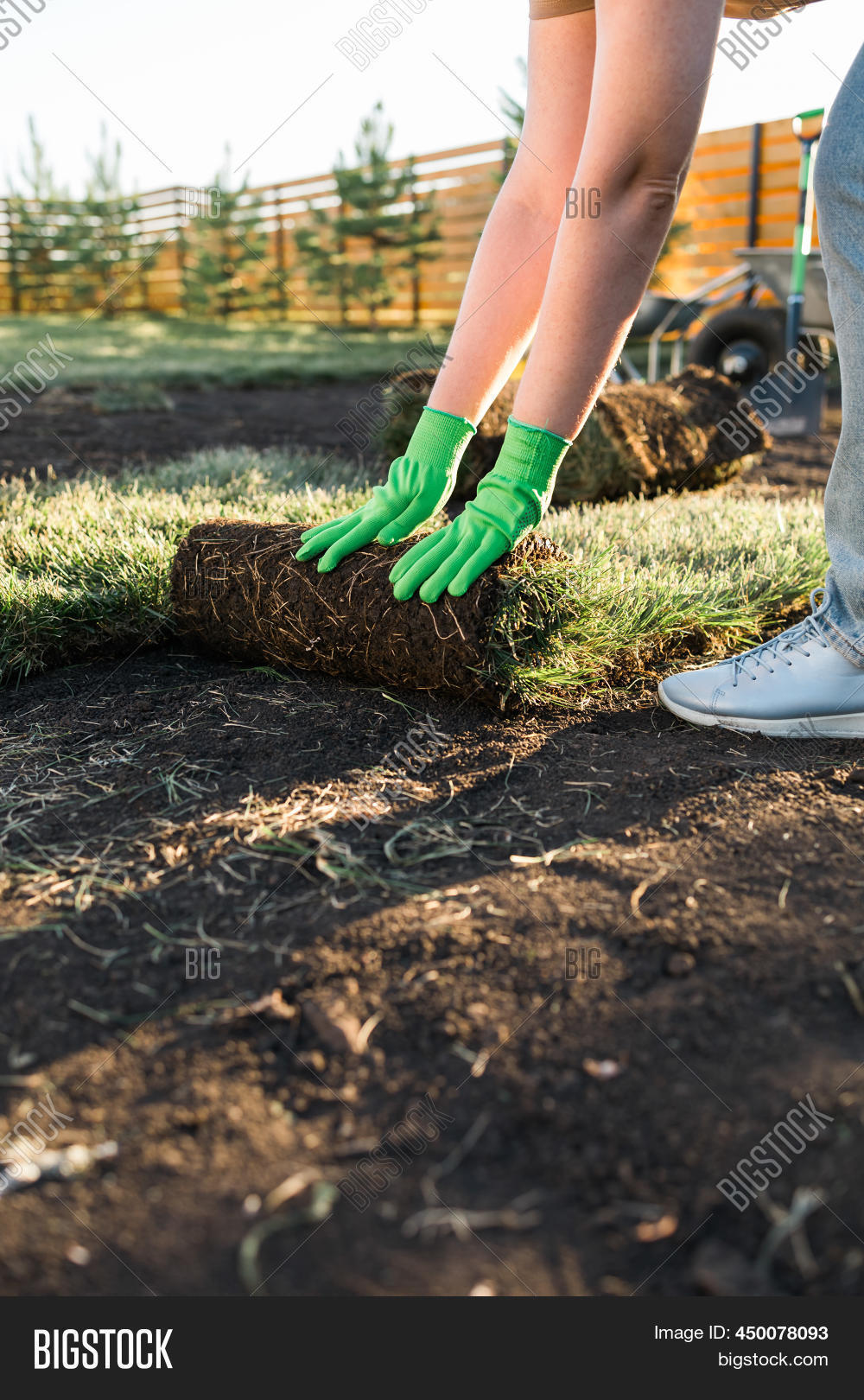 Close Woman Laying Sod Image & Photo (Free Trial) | Bigstock