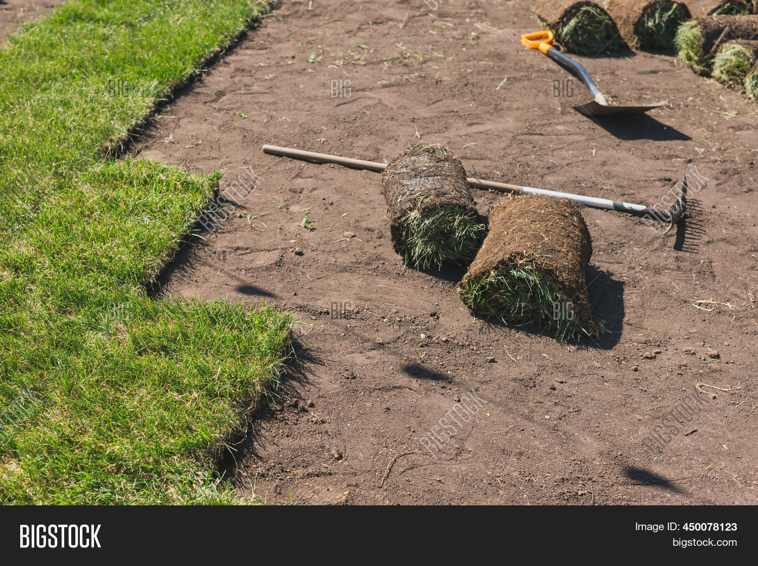 Laying Sod New Garden Image & Photo (Free Trial) | Bigstock