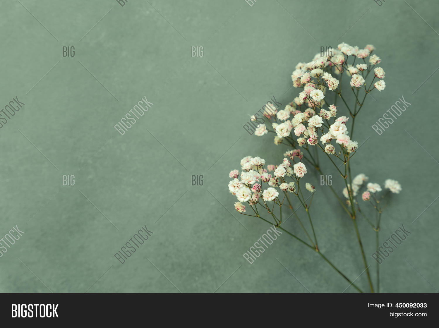 Closeup Dry Rainbow Image & Photo (Free Trial) | Bigstock