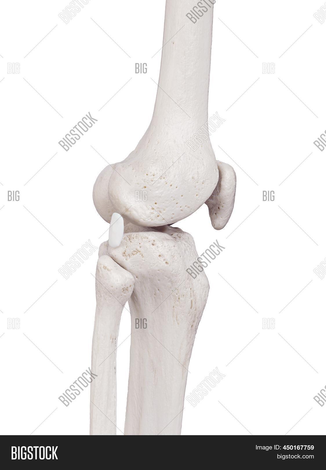 Imagen y foto 3d Rendered (prueba gratis) | Bigstock