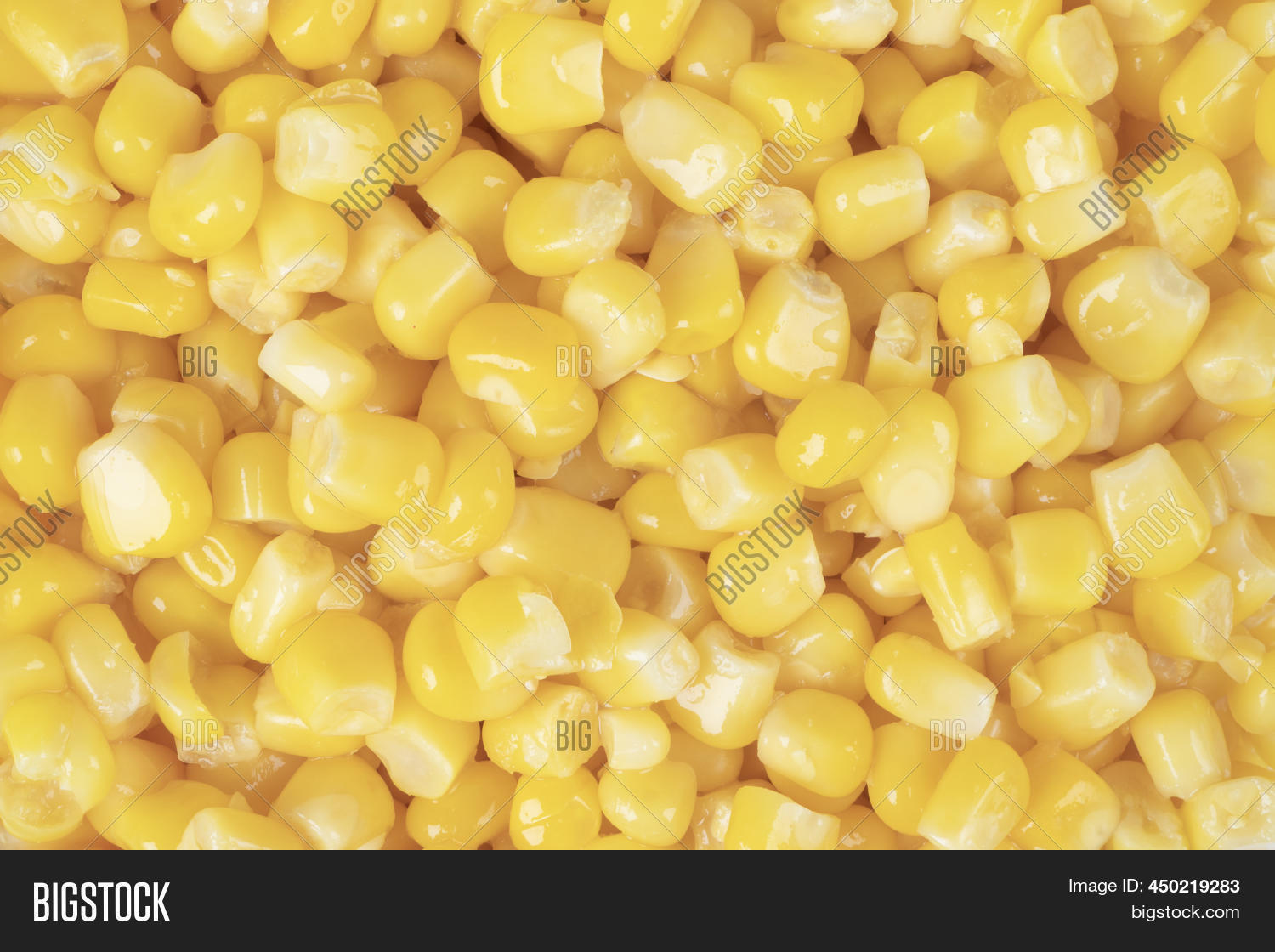 Sweet Corn Background Image & Photo (Free Trial) | Bigstock