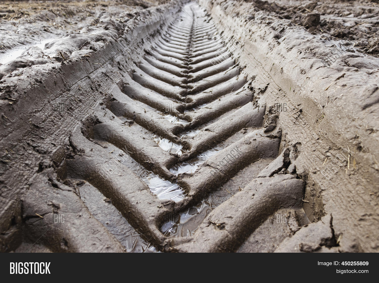 Footprint Wheel Tread Image & Photo (Free Trial) | Bigstock