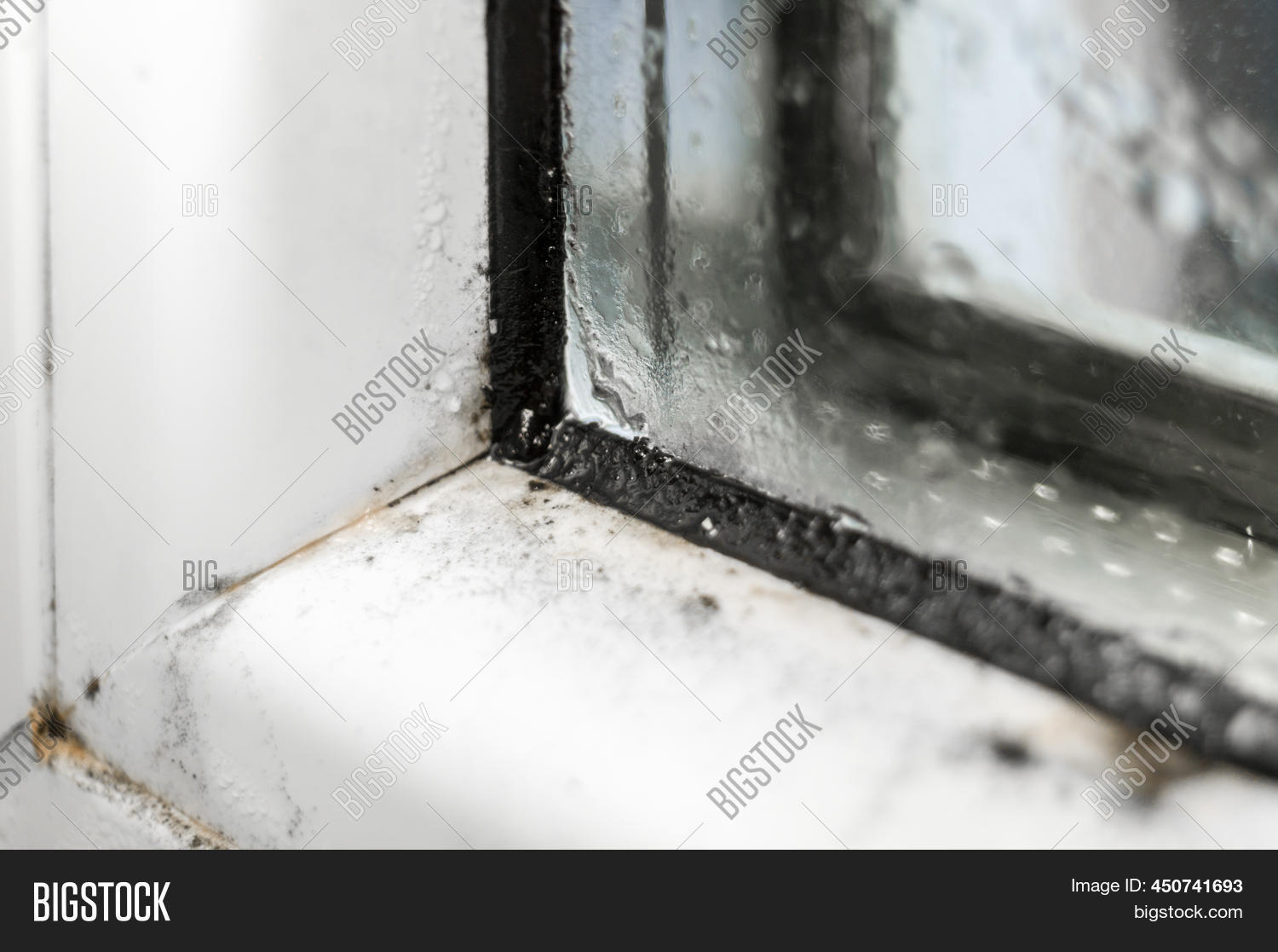Condensation Mold On Image & Photo (Free Trial) | Bigstock