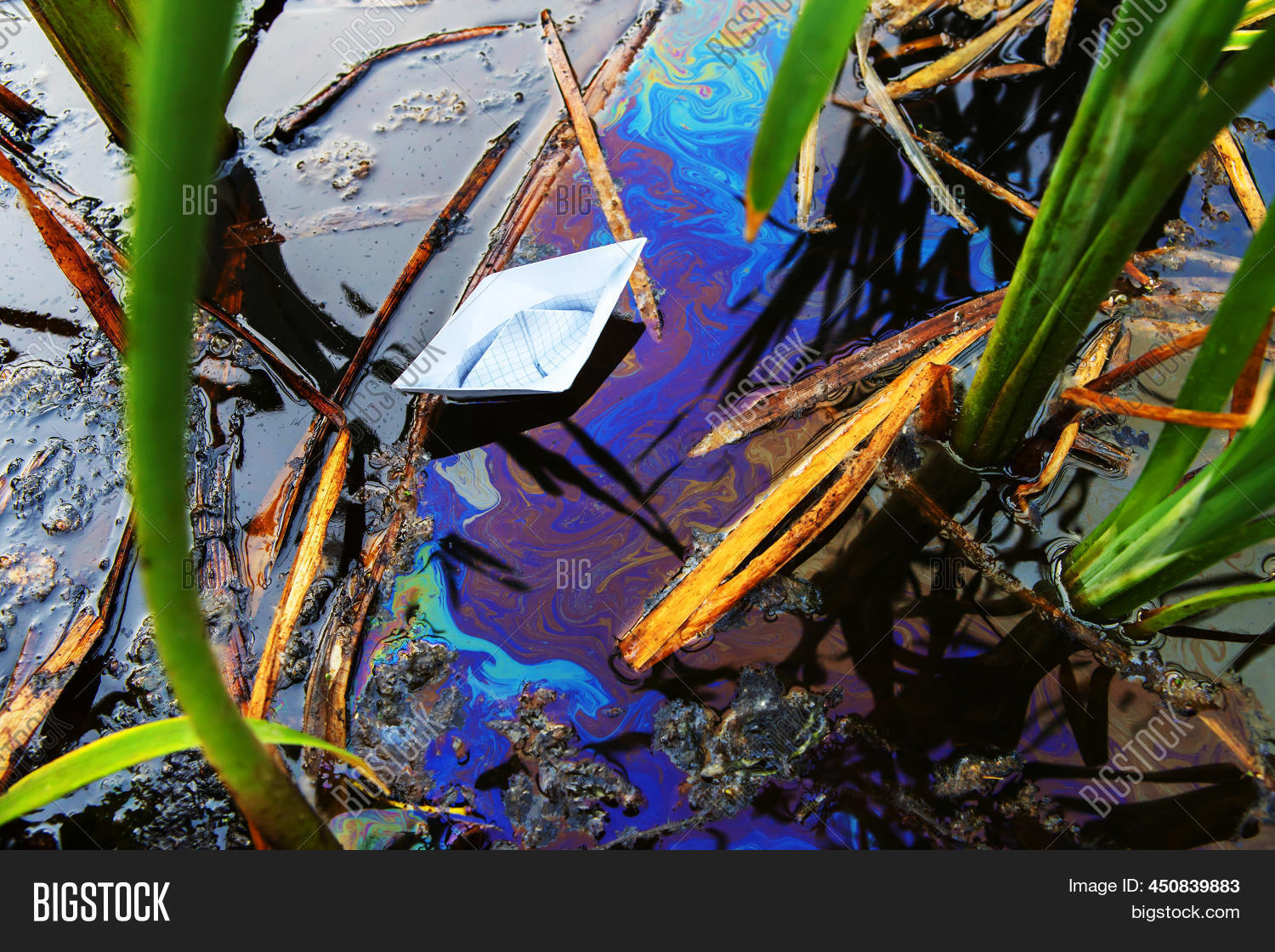 Ecological Catastrophe Image & Photo (Free Trial) | Bigstock