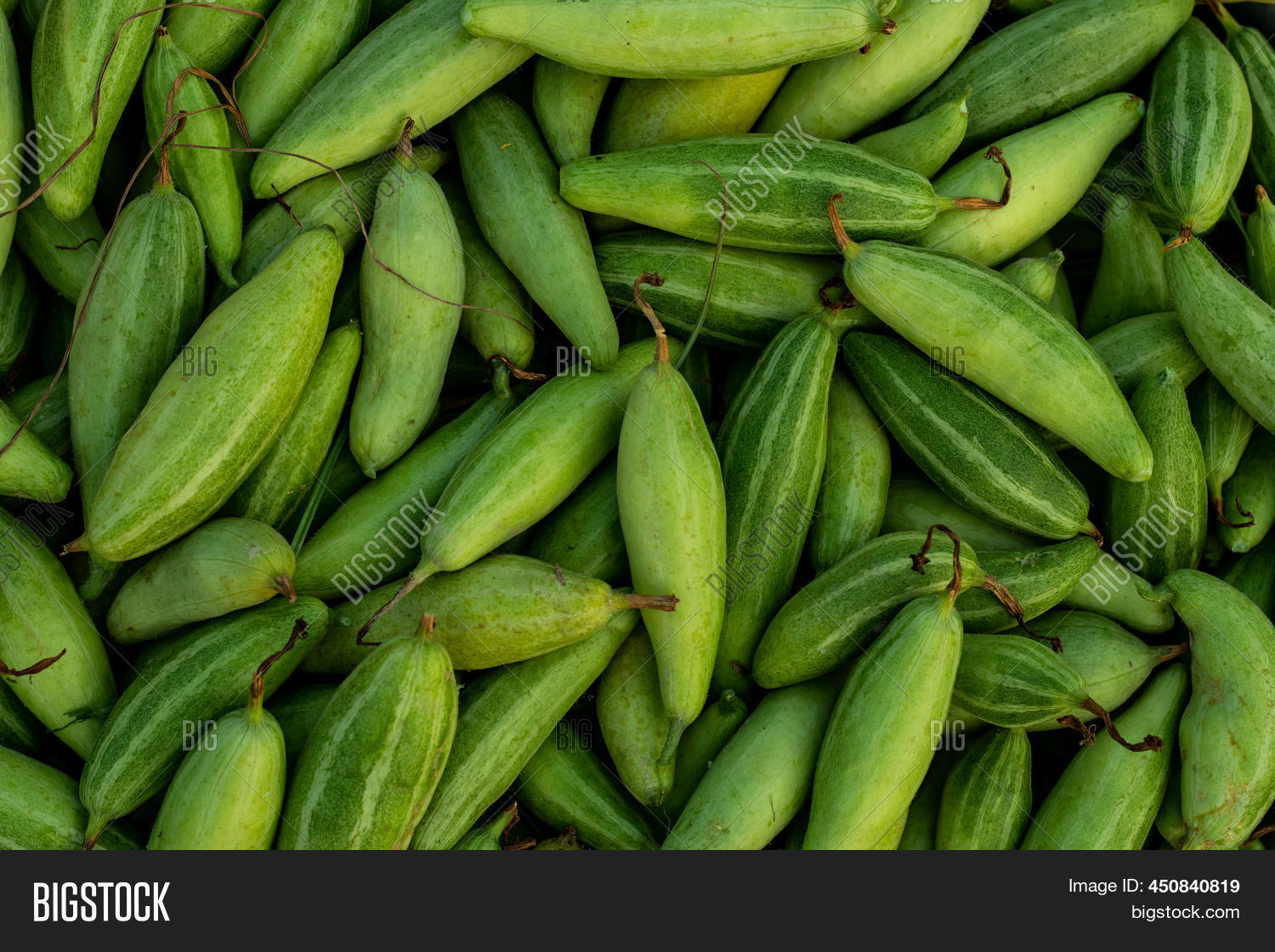 These Raw Pointed Image & Photo (Free Trial) | Bigstock