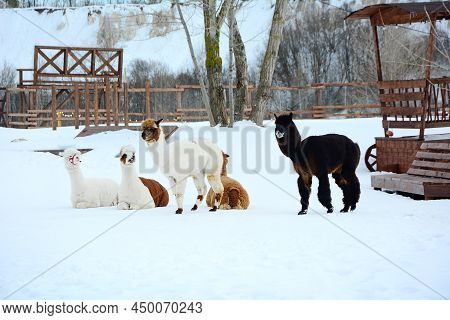 Imagen y foto Group Colorful (prueba gratis) | Bigstock