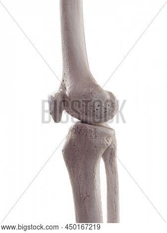 3d Rendered Medically Image & Photo (Free Trial) | Bigstock