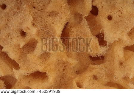 ภาพและภาพถ่าย (ทดลองใช้ฟรี) | Bigstock
