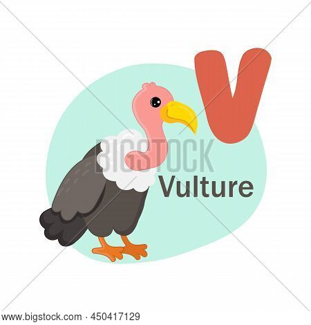 Animals Alphabet. Vector & Photo (Free Trial) | Bigstock