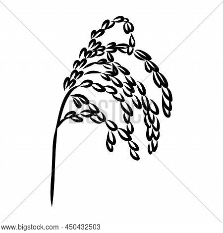 Rice Set. Plant Rice Vector & Photo (Free Trial) | Bigstock