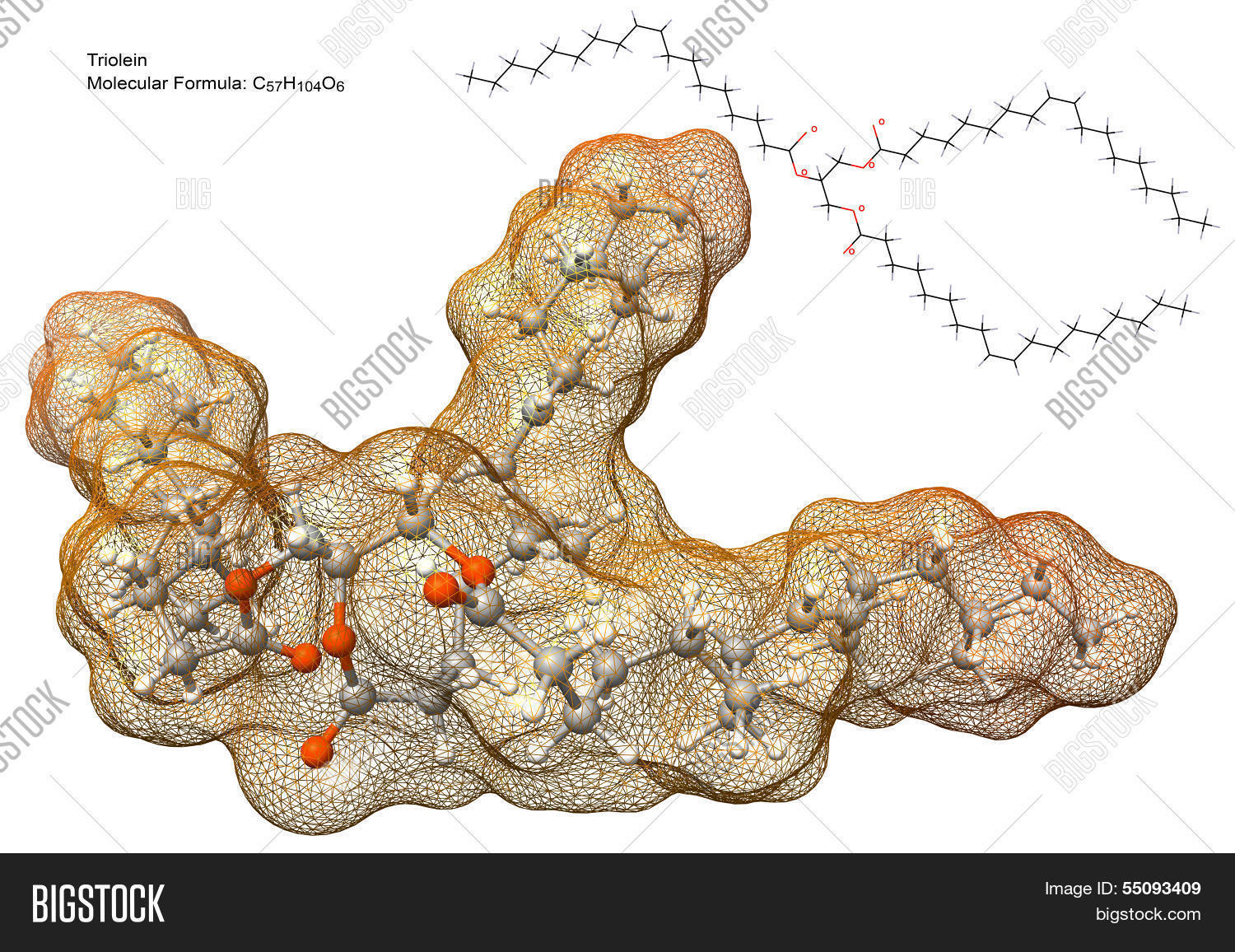 Molecular Structure Of Olive Oil
