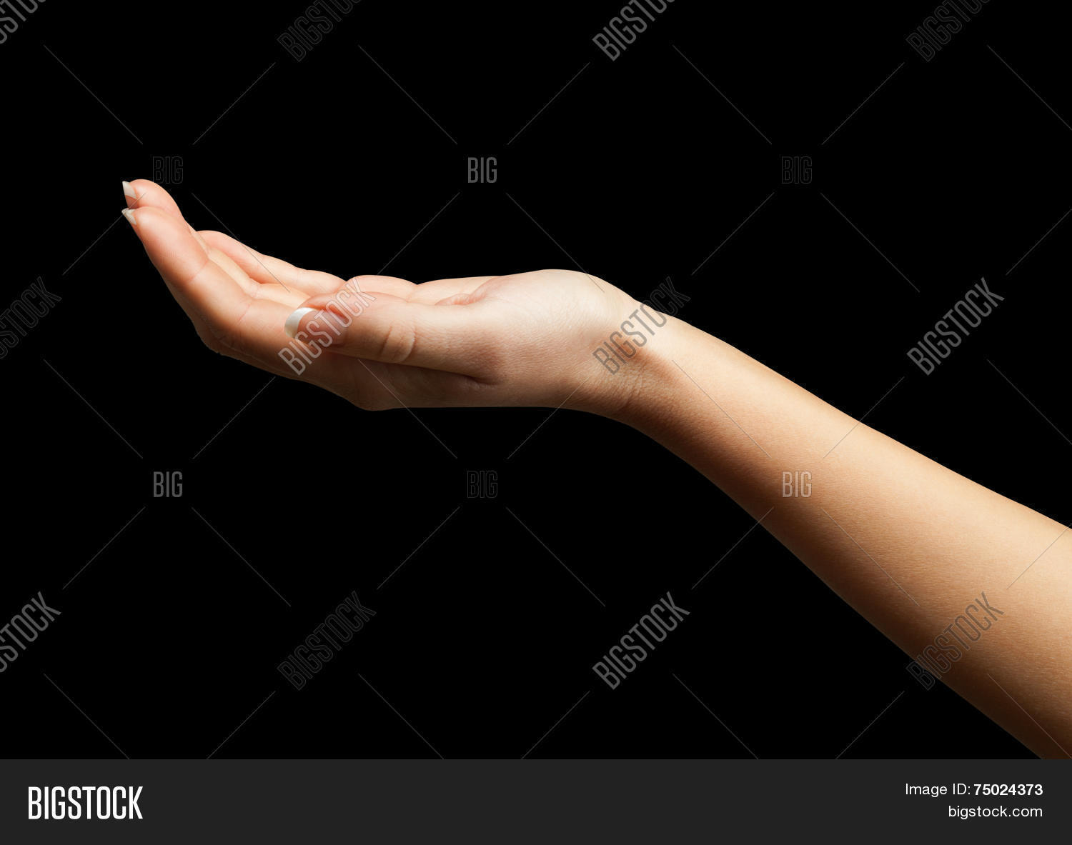 Female Hand Open Palm Image & Photo (Free Trial) | Bigstock