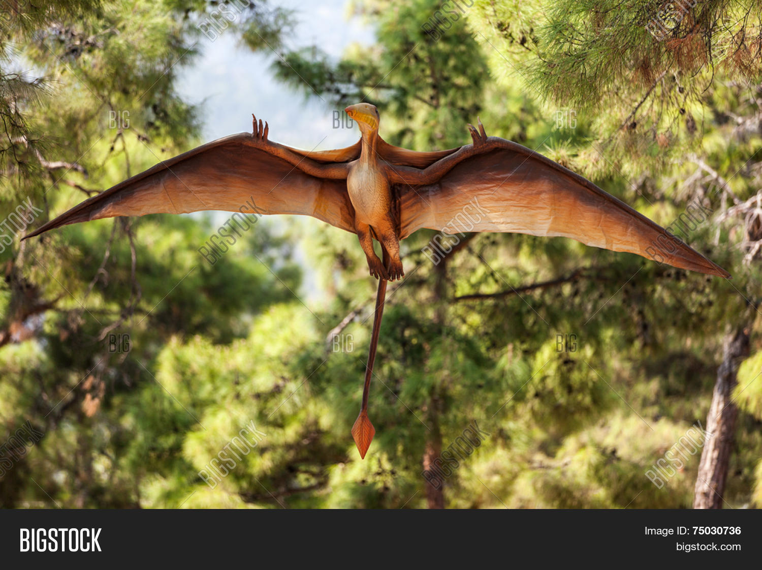 Pterodactyl - Image & Photo (Free Trial) | Bigstock