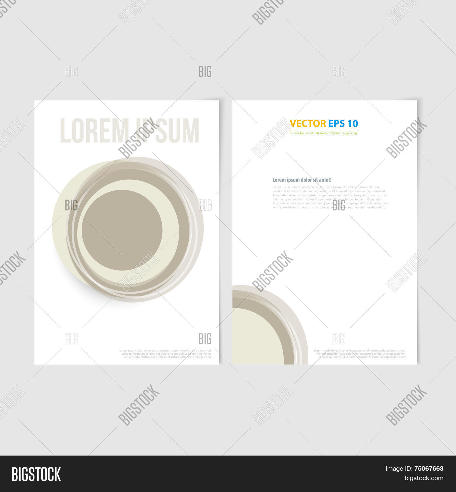 Flyer Template Back Vector & Photo (Free Trial) | Bigstock