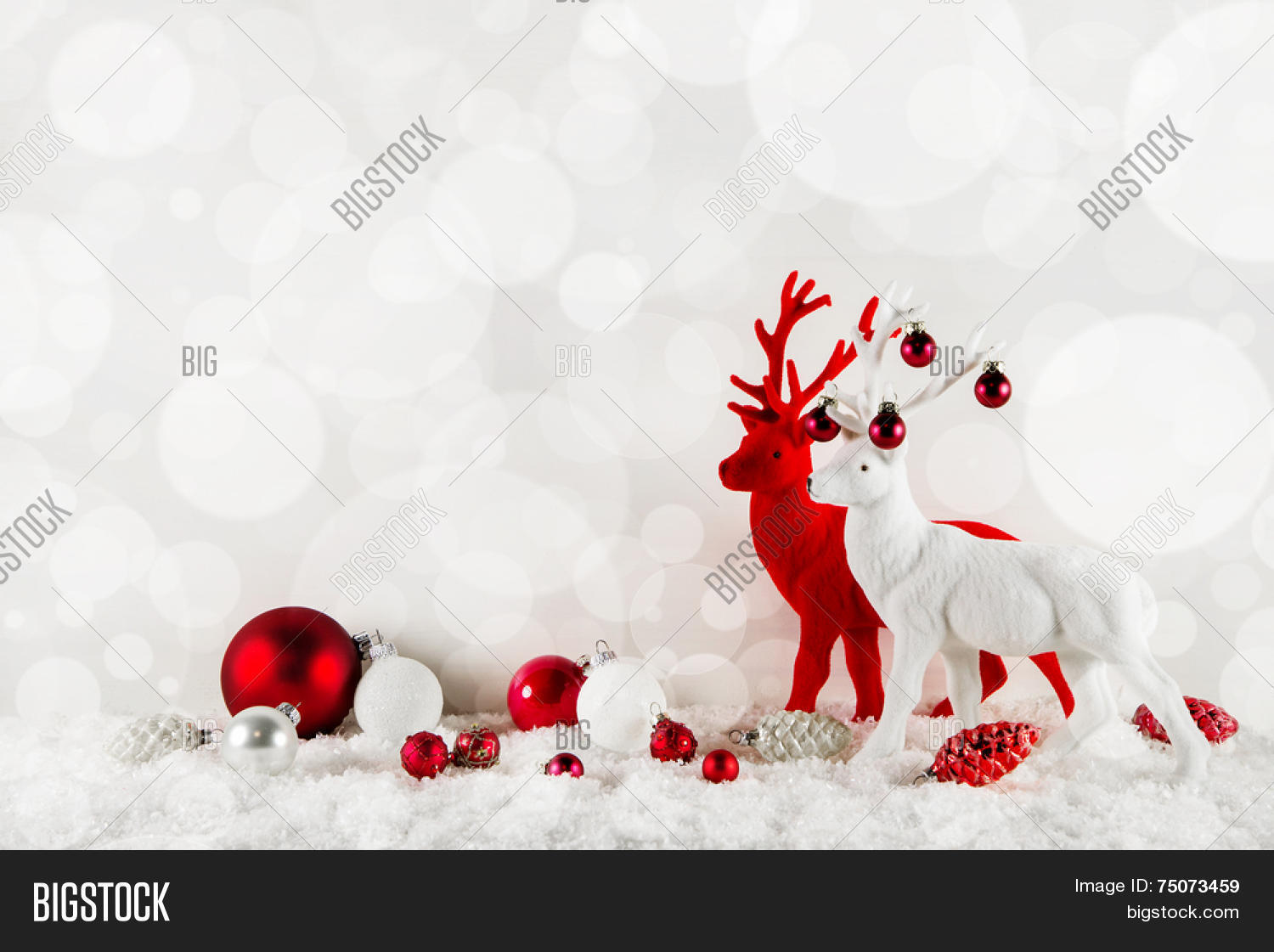 Festive Elegant Image & Photo (Free Trial) | Bigstock