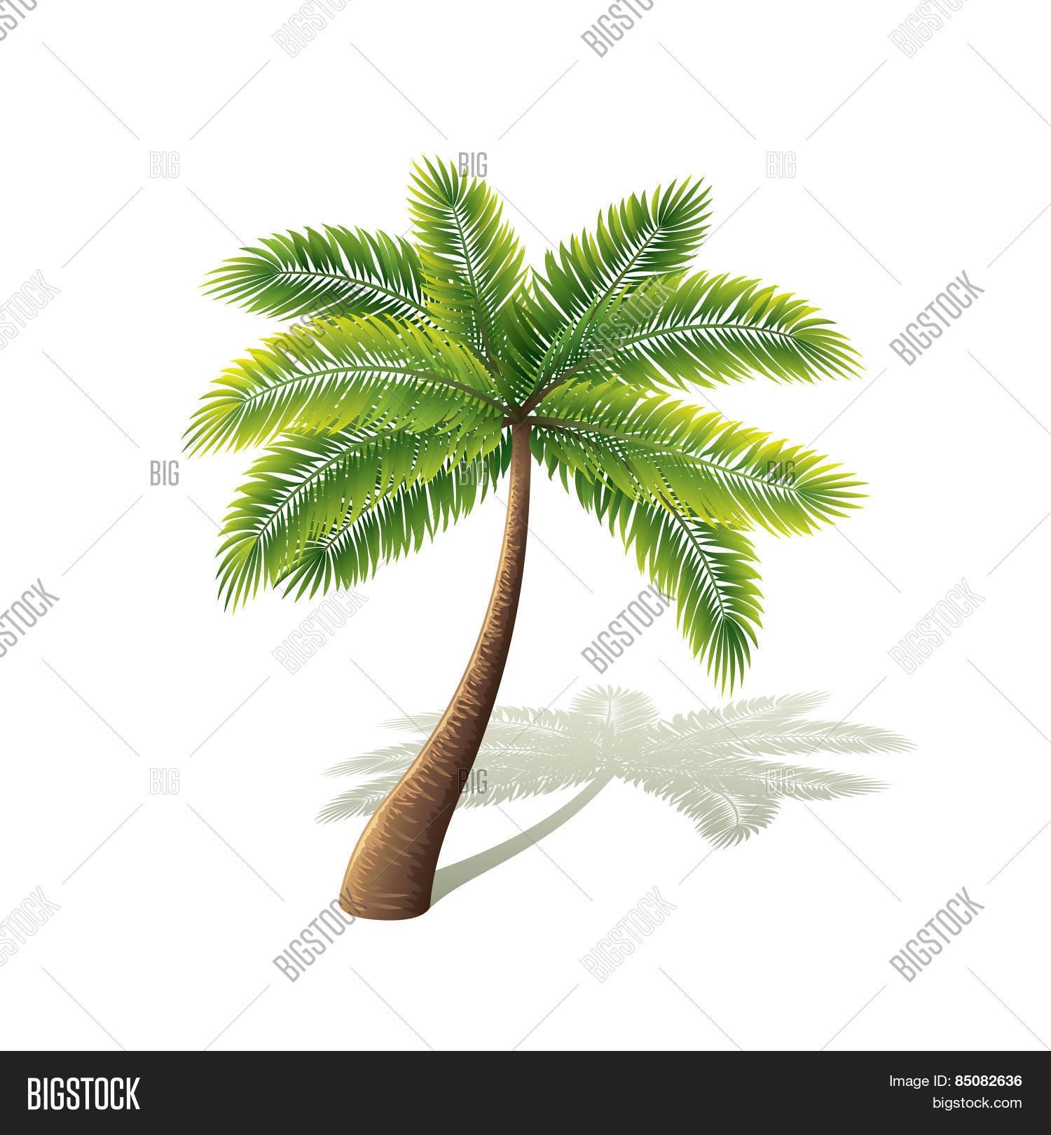 Palm Tree Isolated On Vector & Photo (Free Trial) | Bigstock