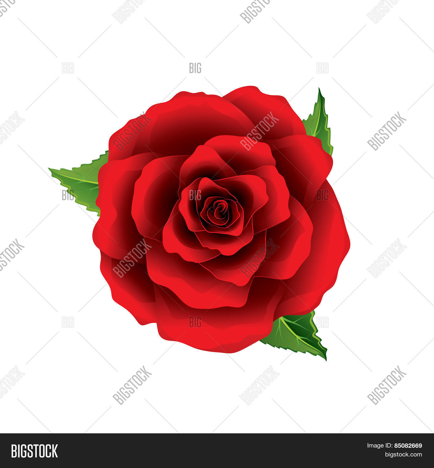 Red Rose Flower Top Vector & Photo (Free Trial) | Bigstock