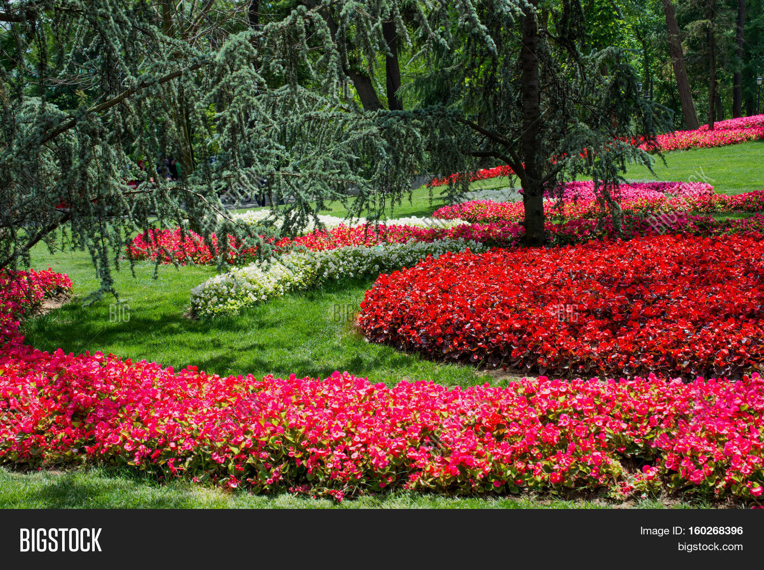 Field Covered Image & Photo (Free Trial) | Bigstock