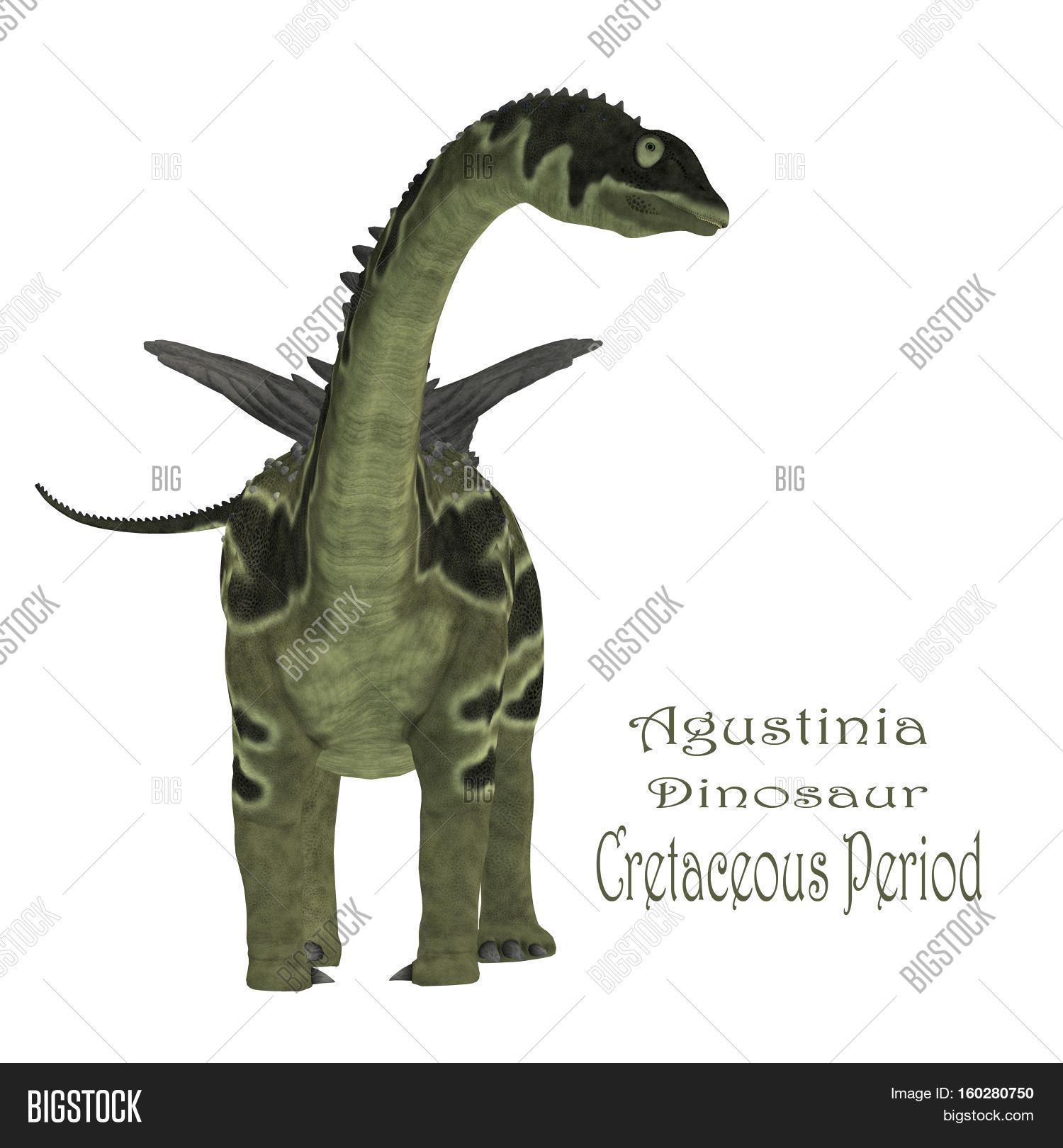 Agustinia Dinosaur Image & Photo (Free Trial) | Bigstock