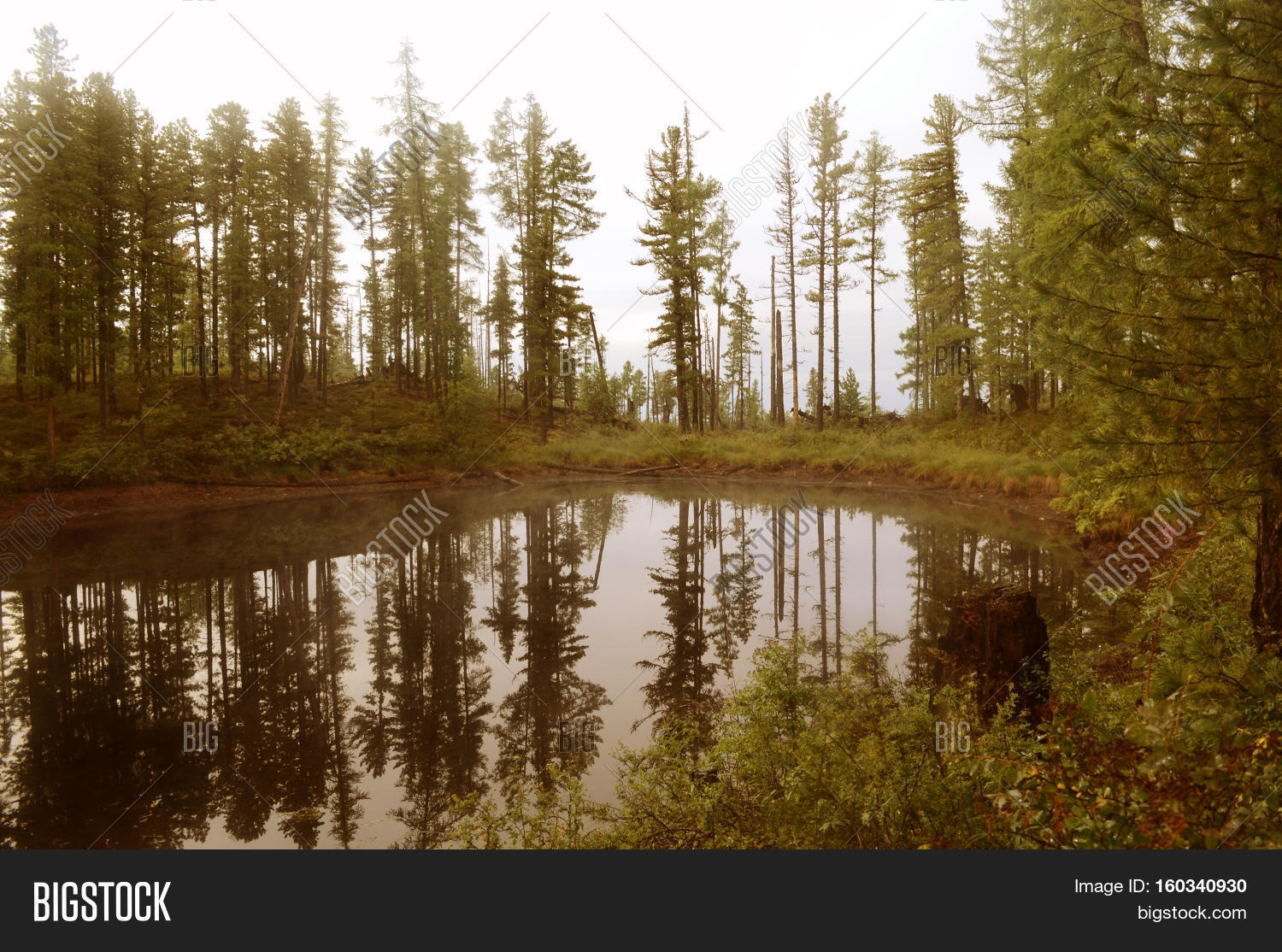 Forest Lake Smooth Image & Photo (Free Trial) | Bigstock