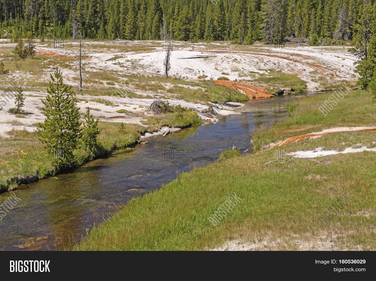 Quiet Stream Through Image & Photo (Free Trial) | Bigstock