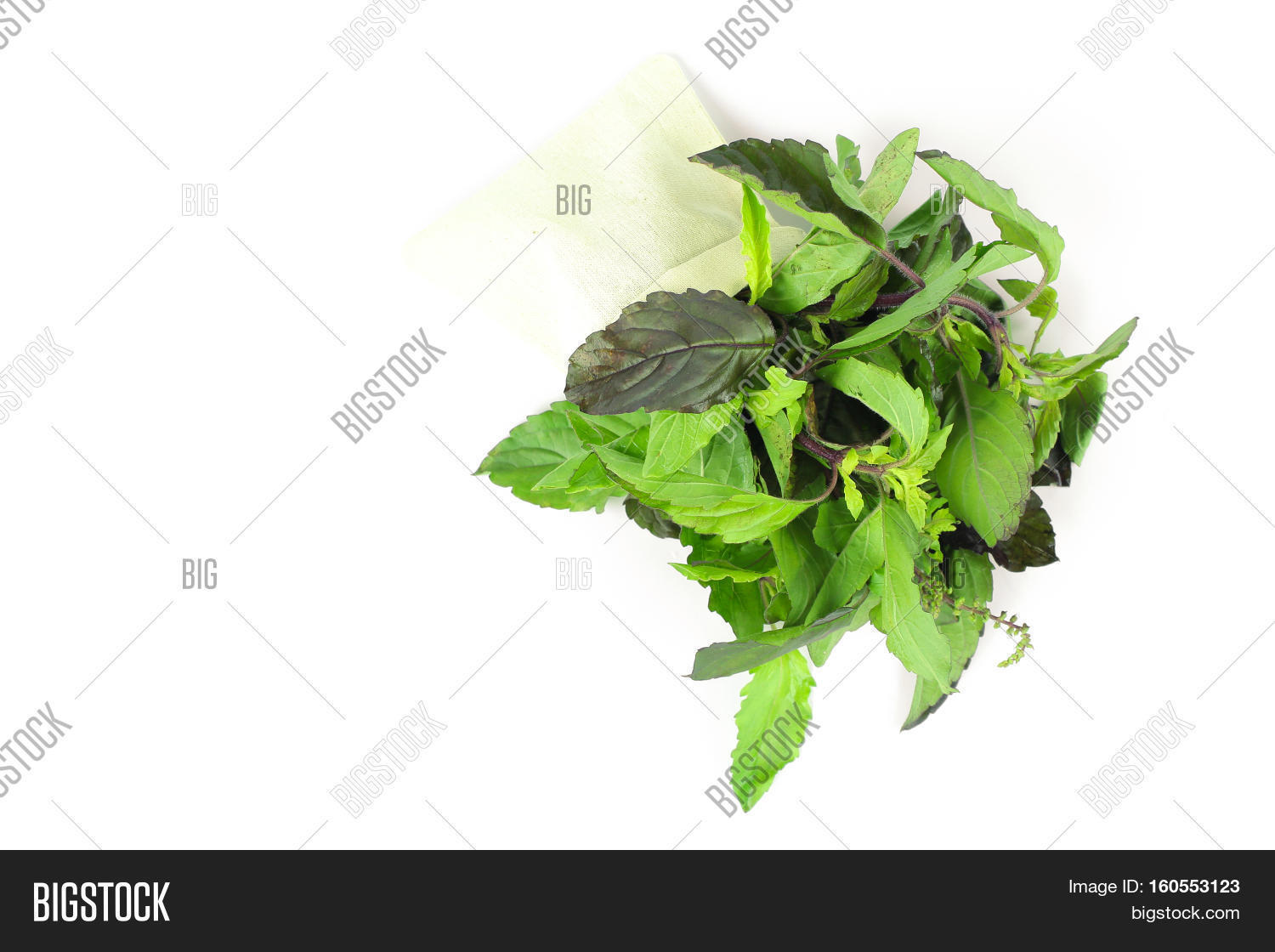 Holy Basil HOt Basil Image & Photo (Free Trial) | Bigstock