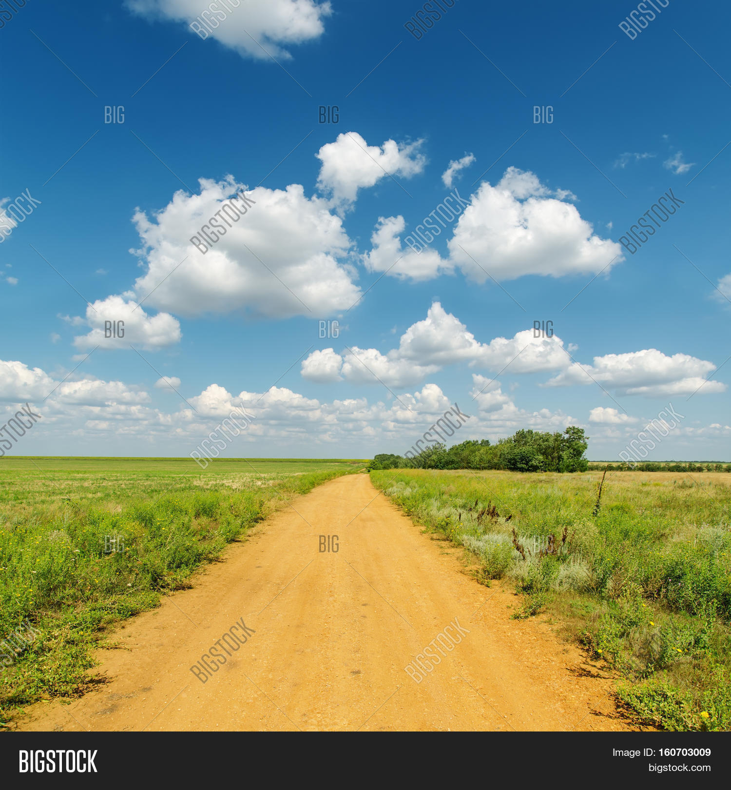 Red Dirty Road Green Image & Photo (Free Trial) | Bigstock