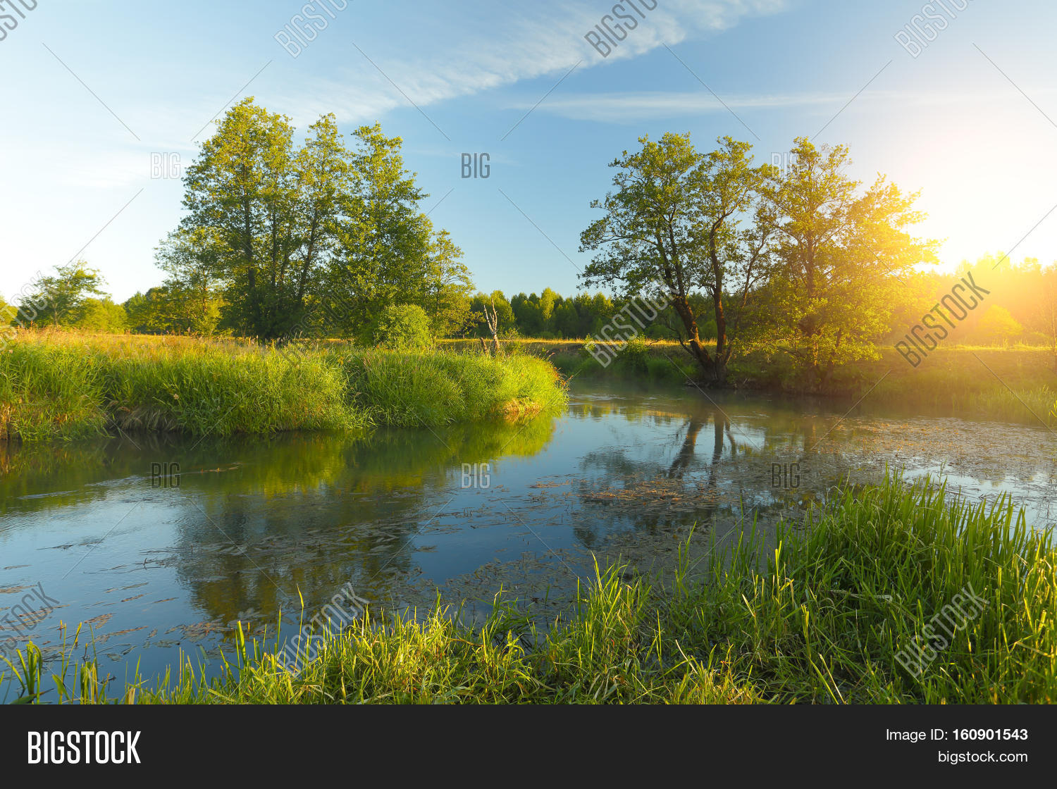 Water Spring Scenery