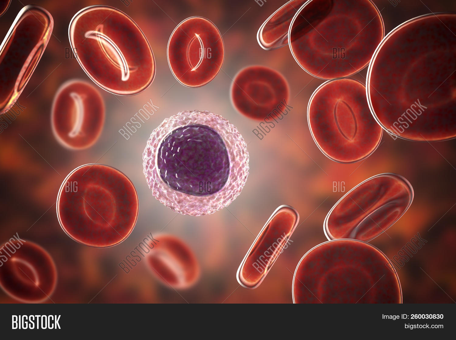 Lymphocyte Surrounded Image & Photo (Free Trial) | Bigstock