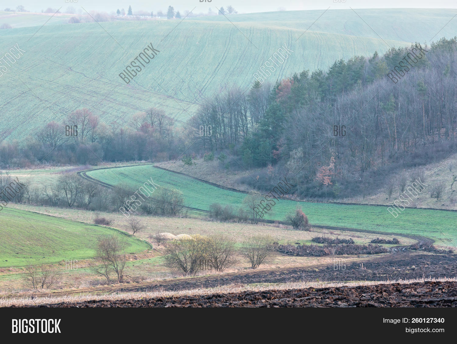 Spring Early Morning Image & Photo (Free Trial) | Bigstock