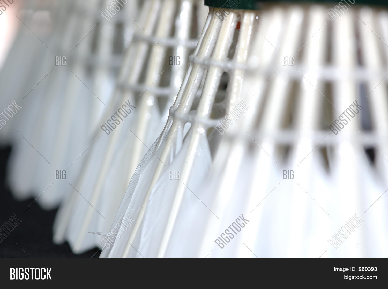 Close- Shuttercock Image & Photo (Free Trial) | Bigstock
