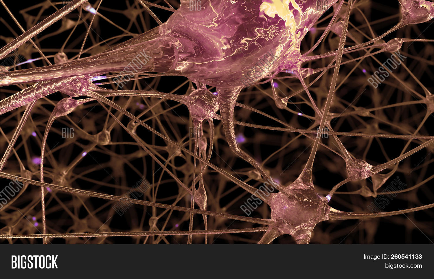 3d Rendering Network Image & Photo (Free Trial) | Bigstock