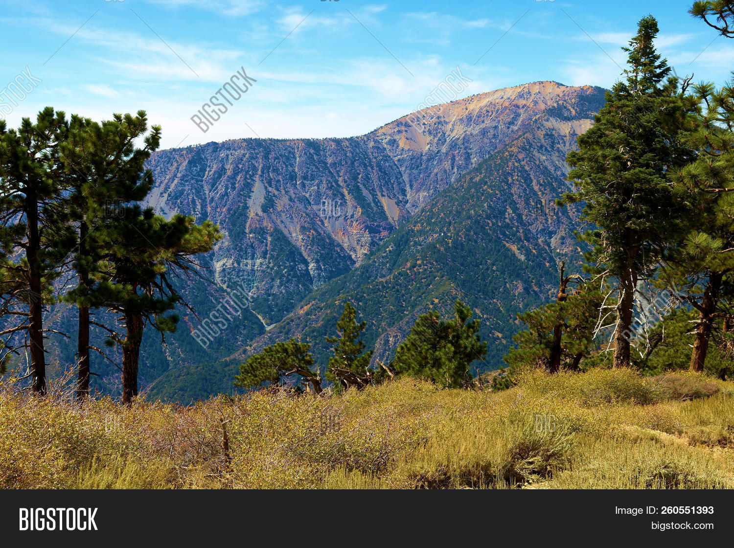 Alpine Meadow Image & Photo (Free Trial) | Bigstock