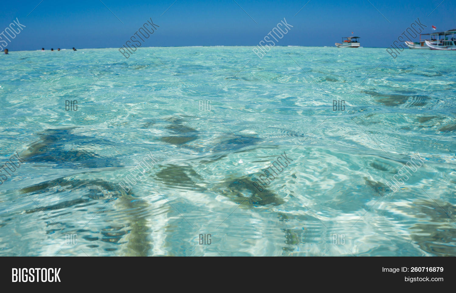 Clear Clean Sea Water Image & Photo (Free Trial) | Bigstock