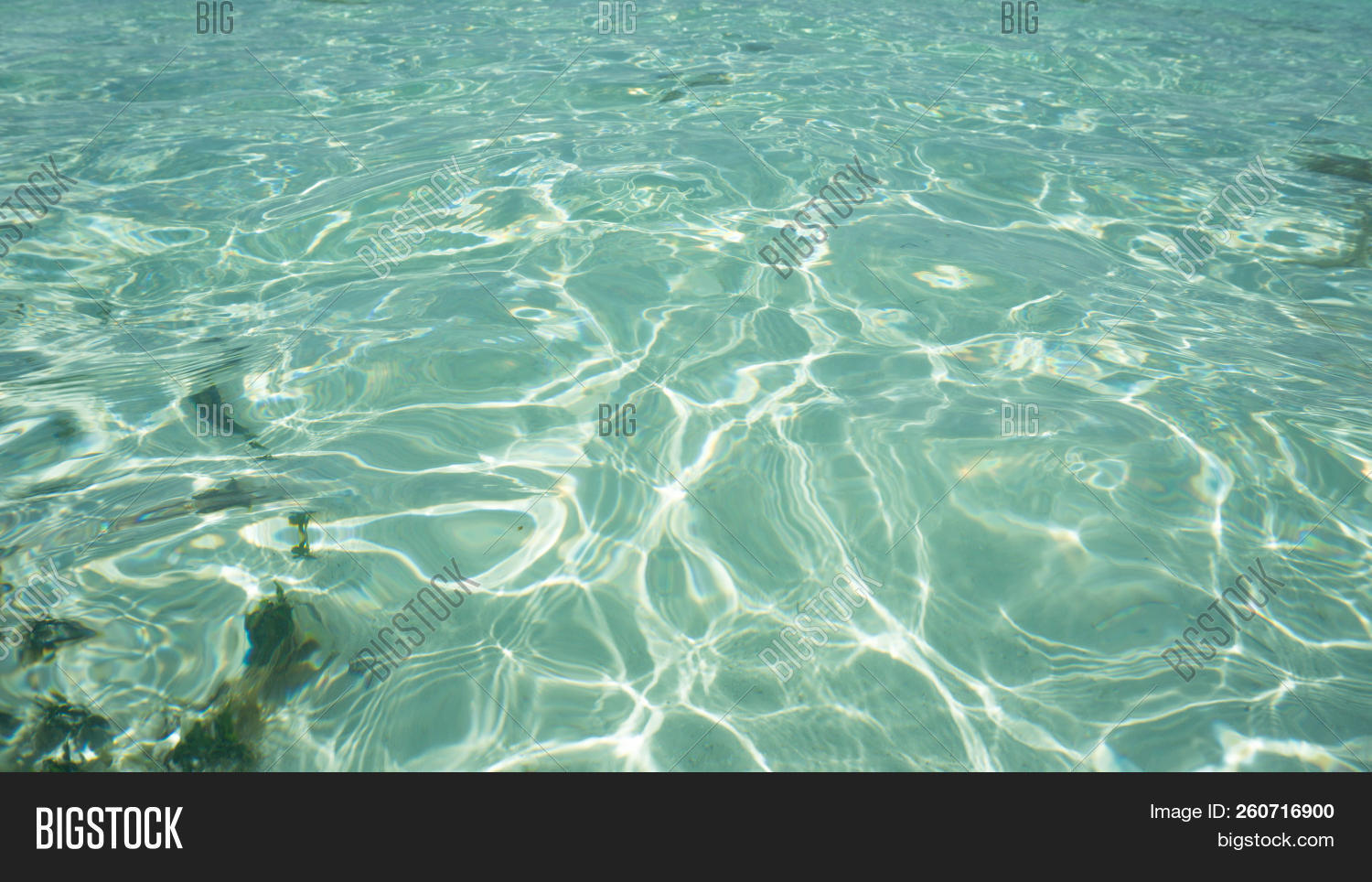 Water Ripple On Sea Image & Photo (Free Trial) | Bigstock