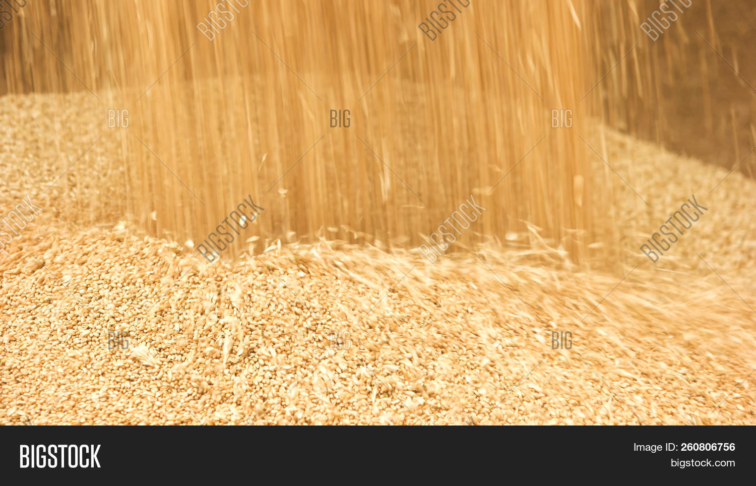 Unloading Grain Pile. Image & Photo (Free Trial) | Bigstock