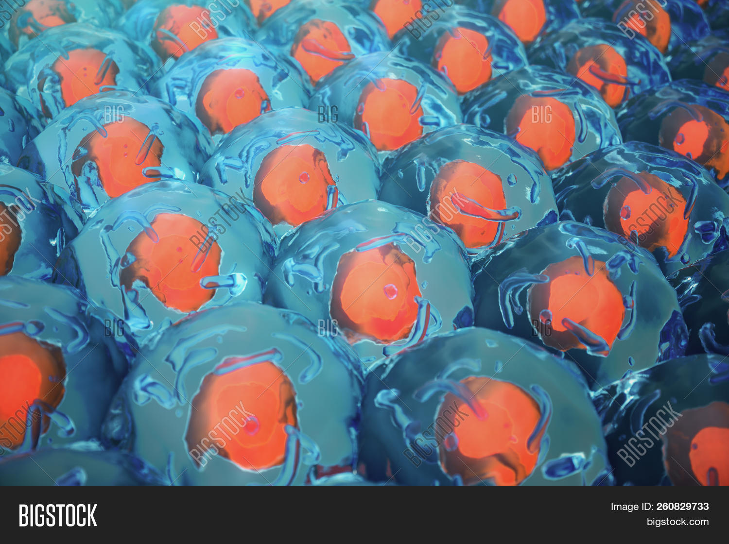 3d Illustration Human Image & Photo (Free Trial) | Bigstock