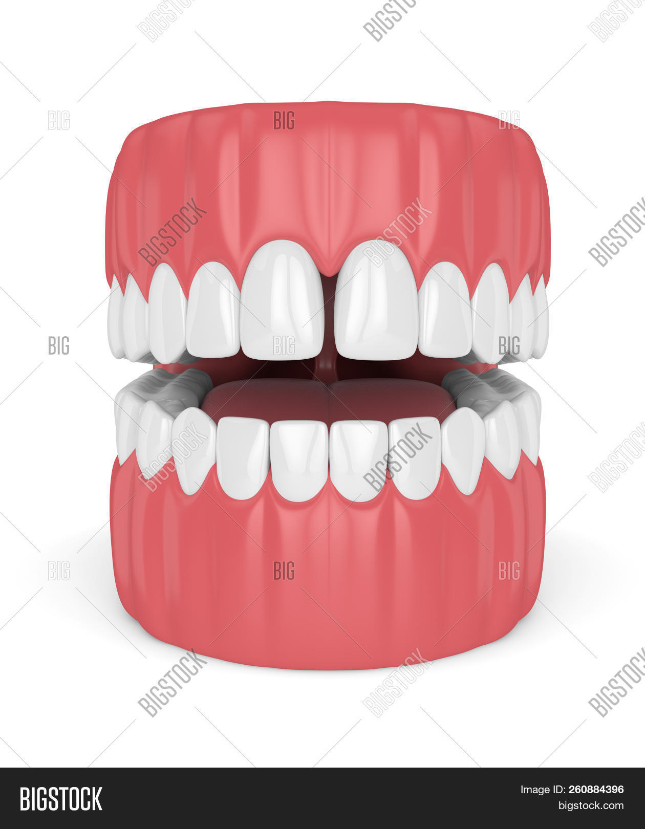 3d Render Teeth Image & Photo (Free Trial) | Bigstock