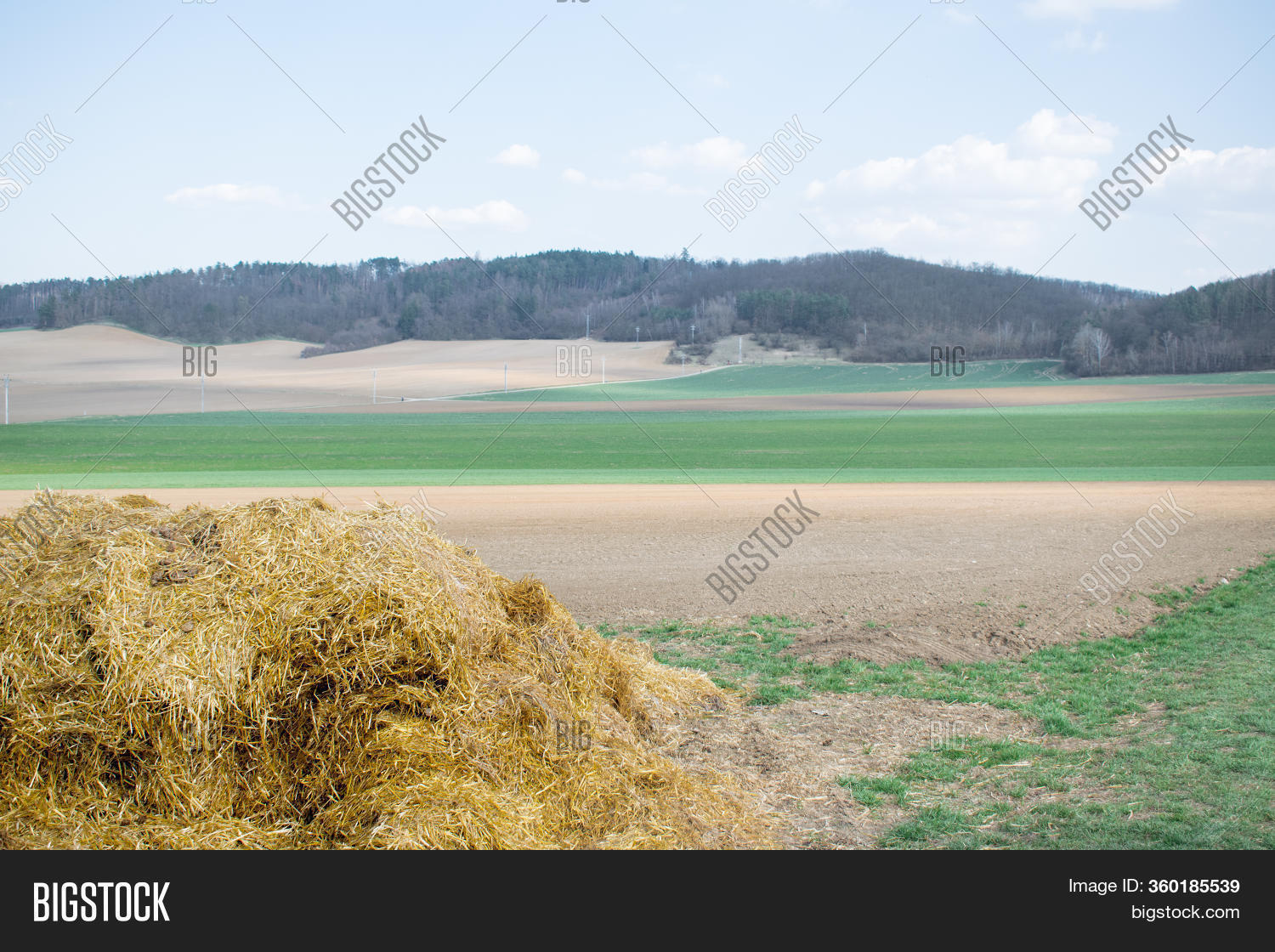 Manure On Field Image & Photo (Free Trial) | Bigstock