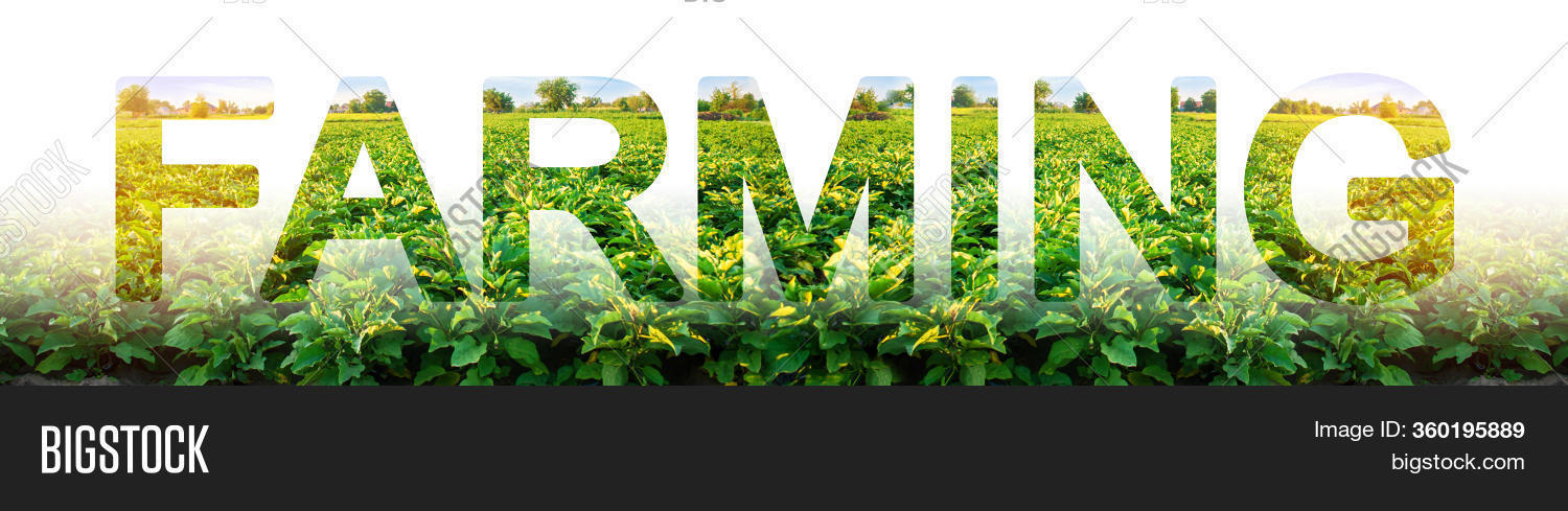 Word Farming On Image & Photo (Free Trial) | Bigstock