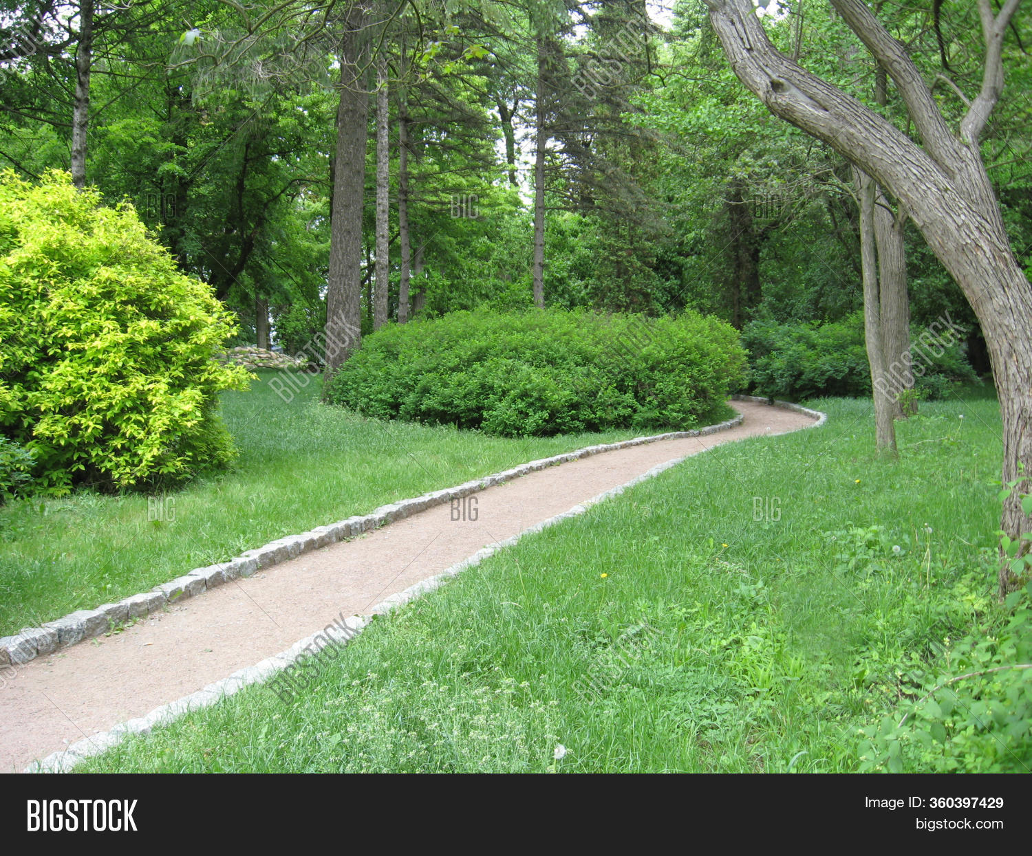 Summer Park Pathway Image & Photo (Free Trial) | Bigstock