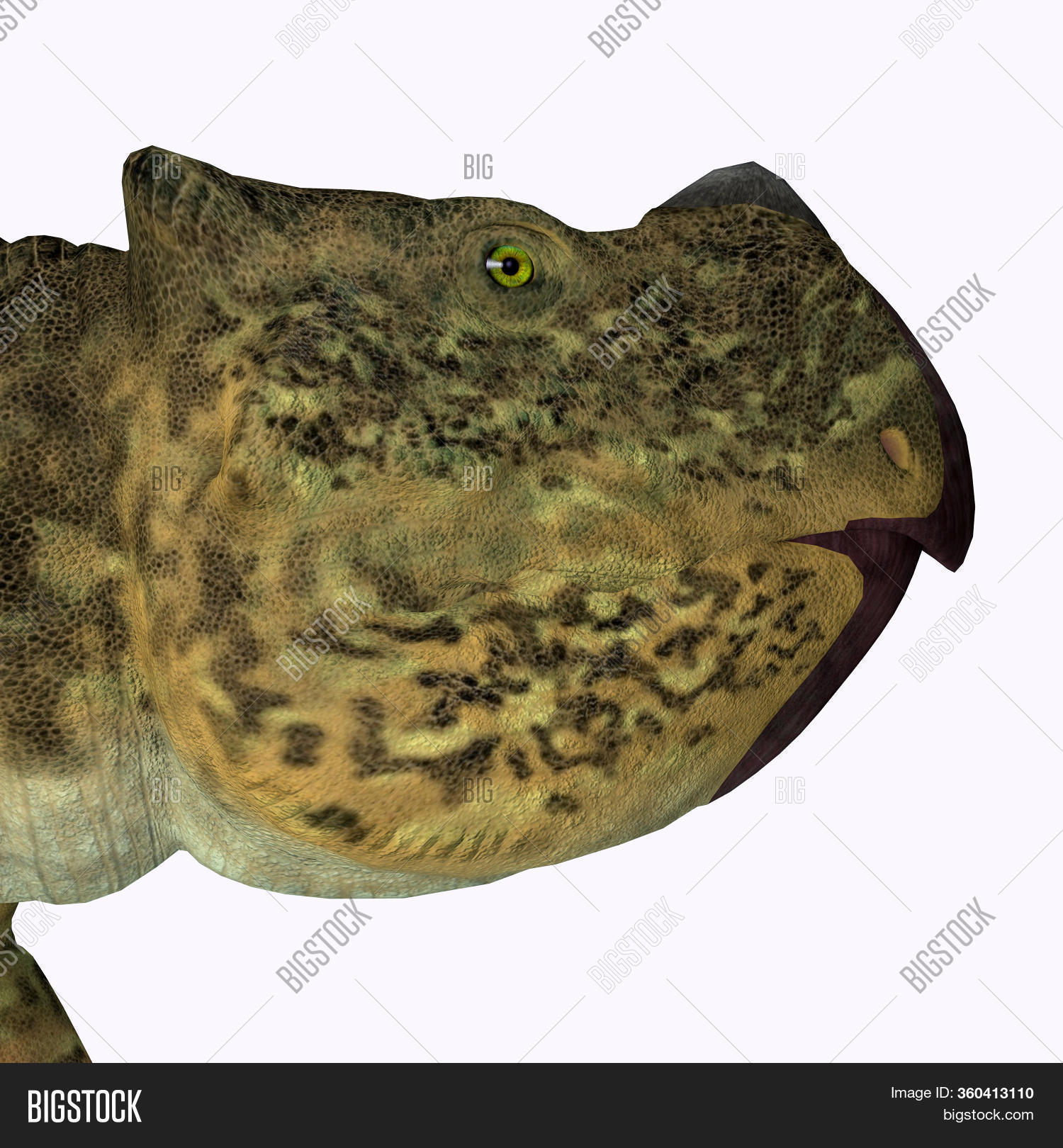 Udanoceratops Dinosaur Image & Photo (Free Trial) | Bigstock