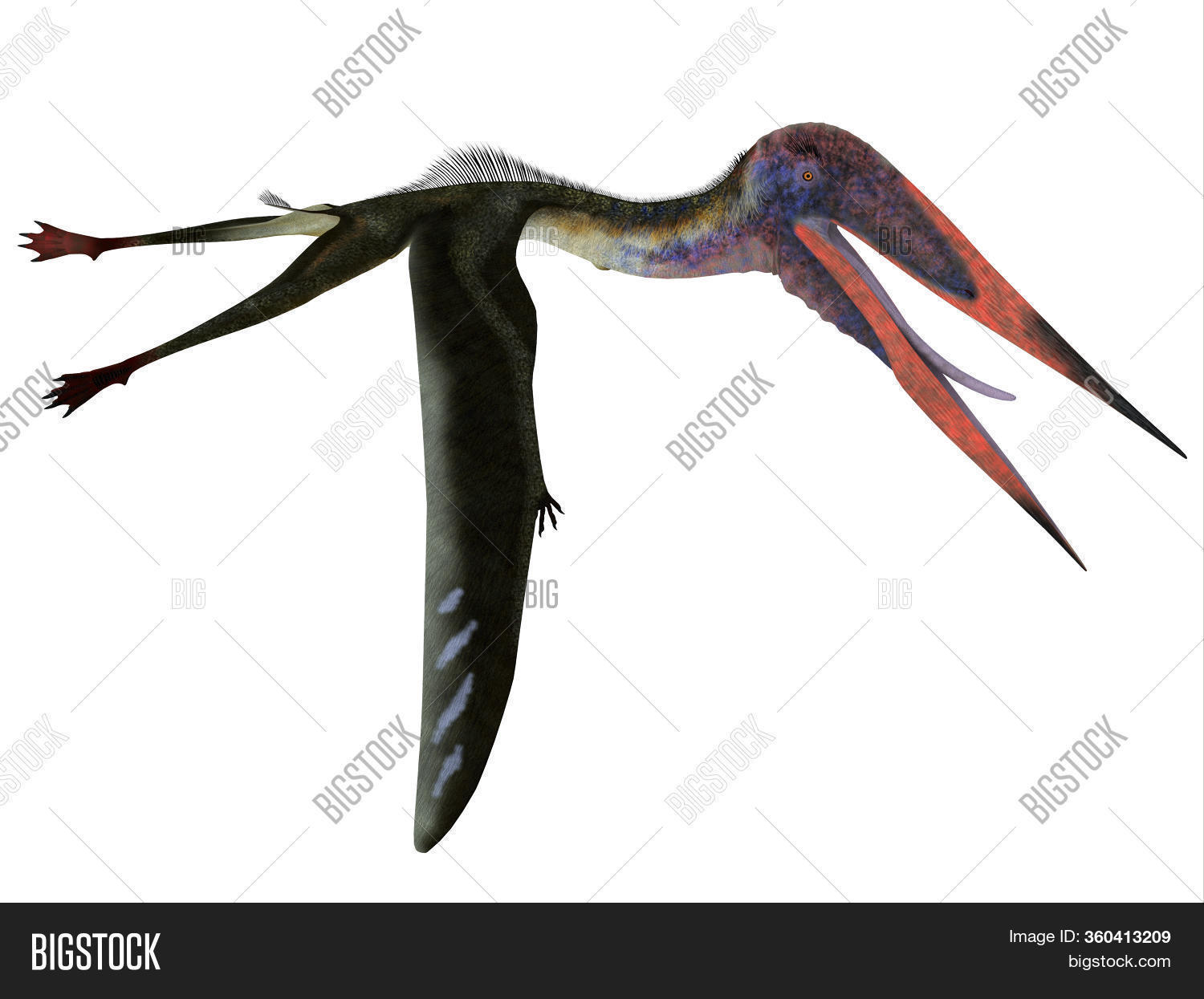 Zhejiangopterus Image & Photo (Free Trial) | Bigstock
