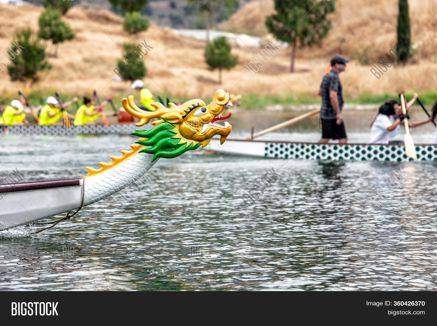 Close- View Dragon Image & Photo (Free Trial) | Bigstock